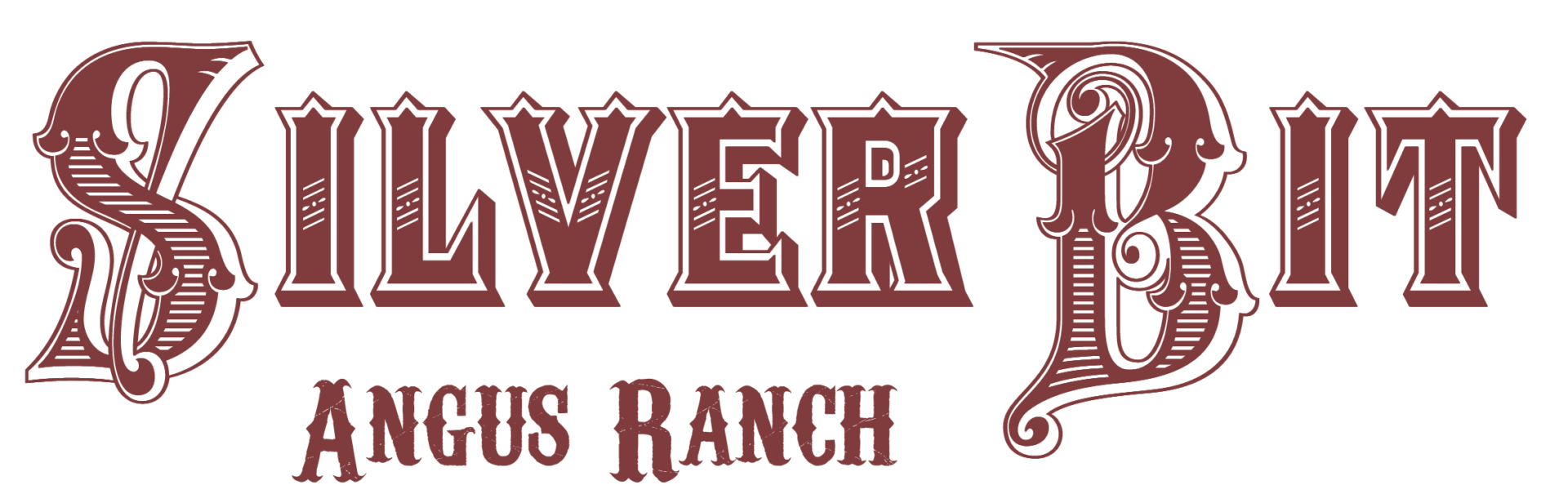 Bulls - Silver Bit Angus Ranch - Angus Cattle - May, Idaho